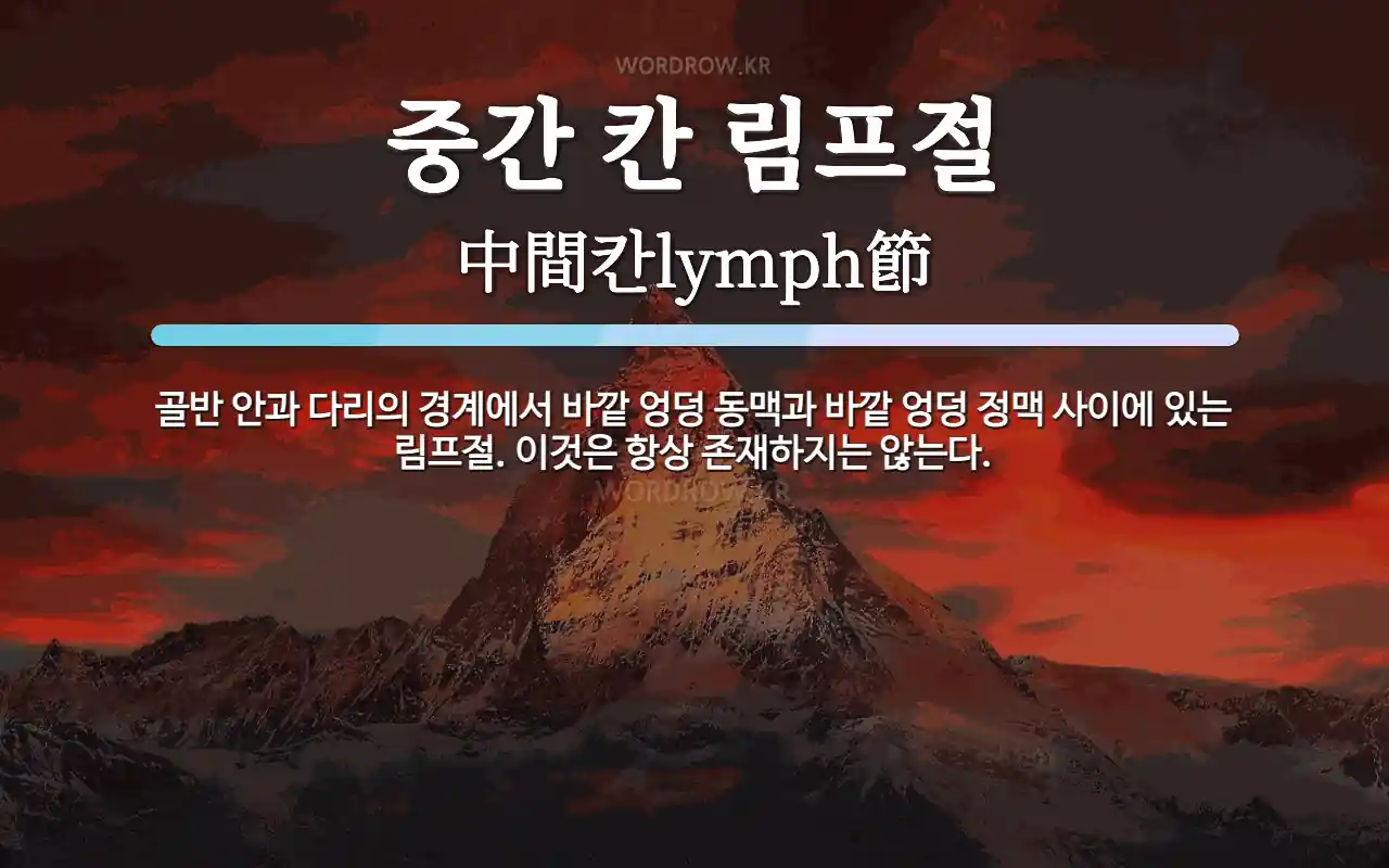 중간 칸 림프절 뜻 골반 안과 다리의 경계에서 바깥 엉덩 동맥과 바깥 엉덩 정맥 사이에 있는 림프절 이것은