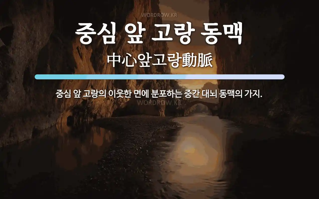 중심 앞 고랑 동맥 뜻 중심 앞 고랑의 이웃한 면에 분포하는 중간 대뇌 동맥의 가지