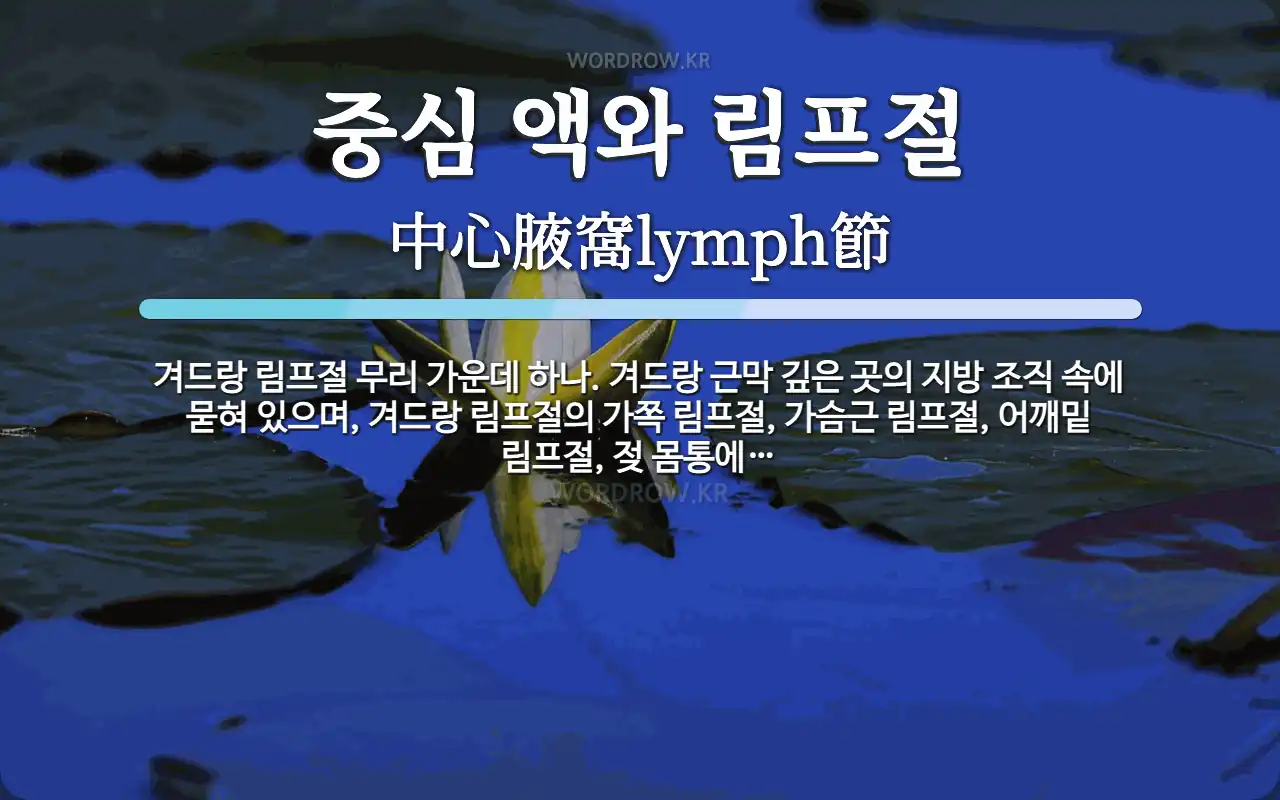 중심 액와 림프절 뜻 겨드랑 림프절 무리 가운데 하나 겨드랑 근막 깊은 곳의 지방 조직 속에 묻혀 있으며 겨