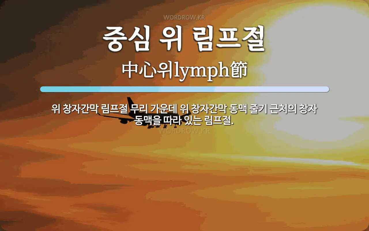중심 위 림프절 뜻 위 창자간막 림프절 무리 가운데 위 창자간막 동맥 줄기 근처의 창자 동맥을 따라 있는 림프