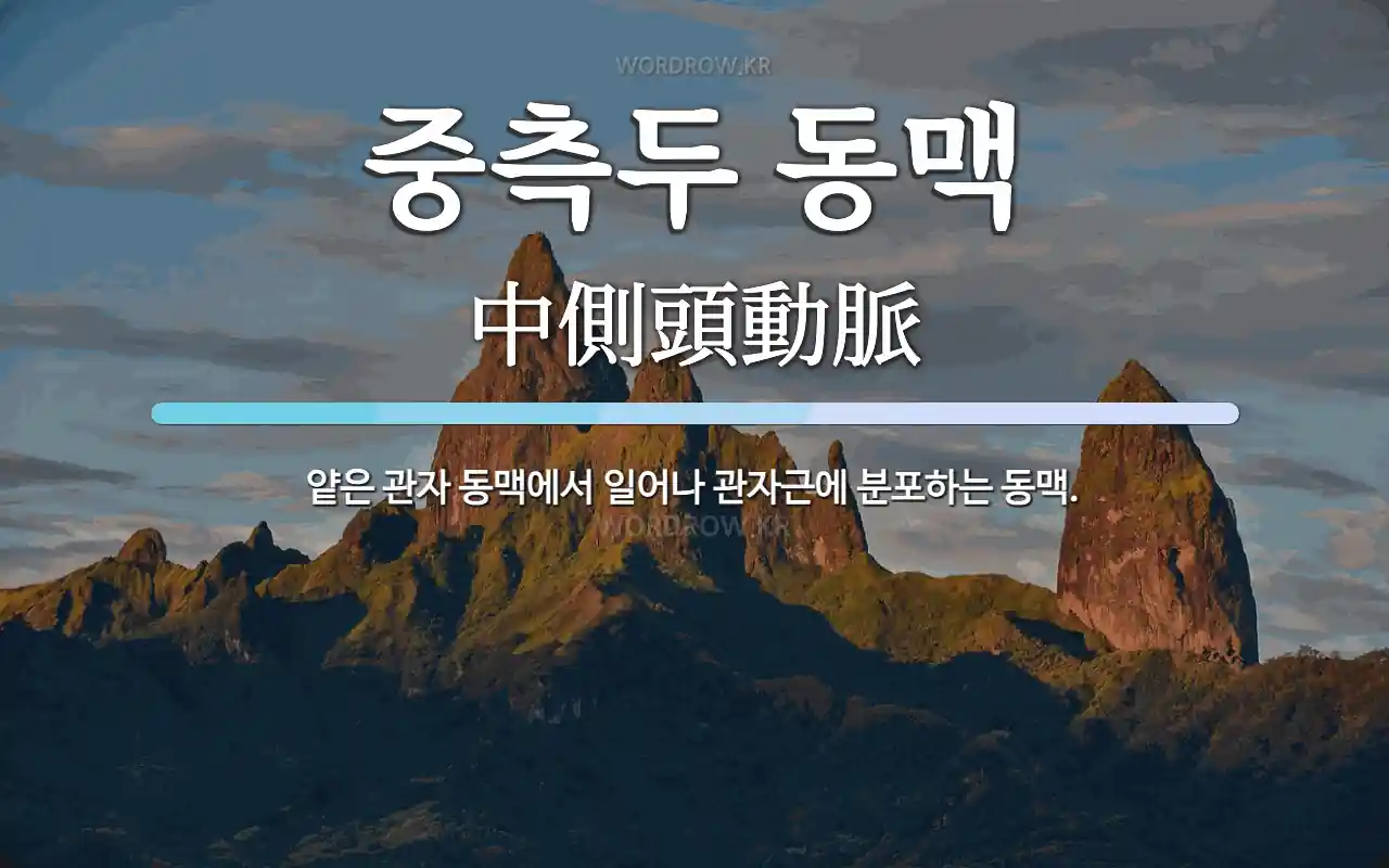 중측두 동맥 뜻 얕은 관자 동맥에서 일어나 관자근에 분포하는 동맥
