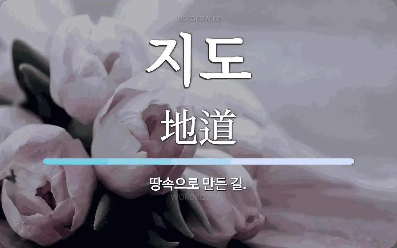 지도 뜻 땅속으로 만든 길