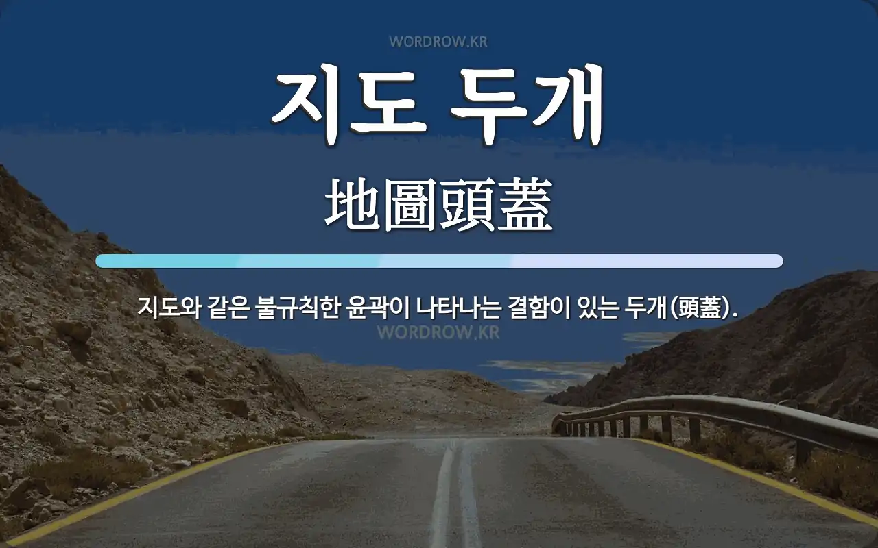 지도 두개 뜻 지도와 같은 불규칙한 윤곽이 나타나는 결함이 있는 두개頭蓋