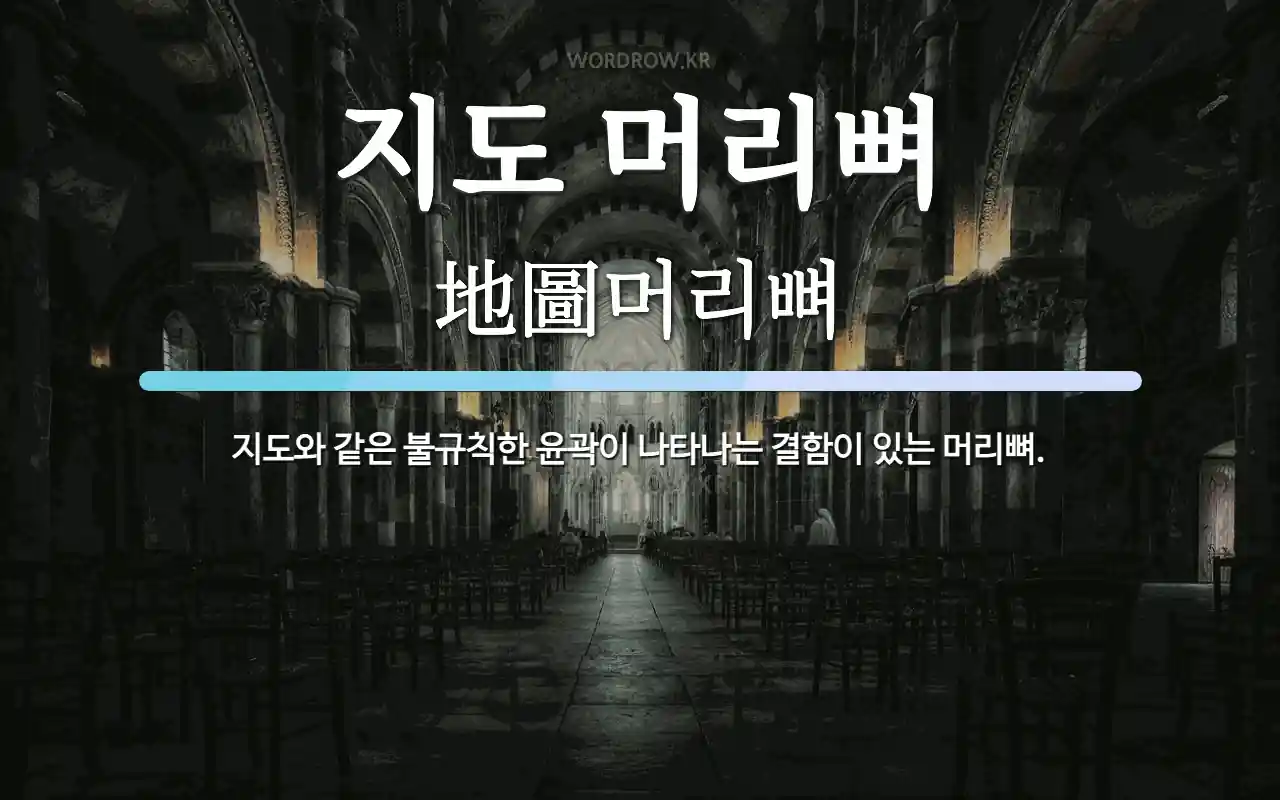 지도 머리뼈 뜻 지도와 같은 불규칙한 윤곽이 나타나는 결함이 있는 머리뼈