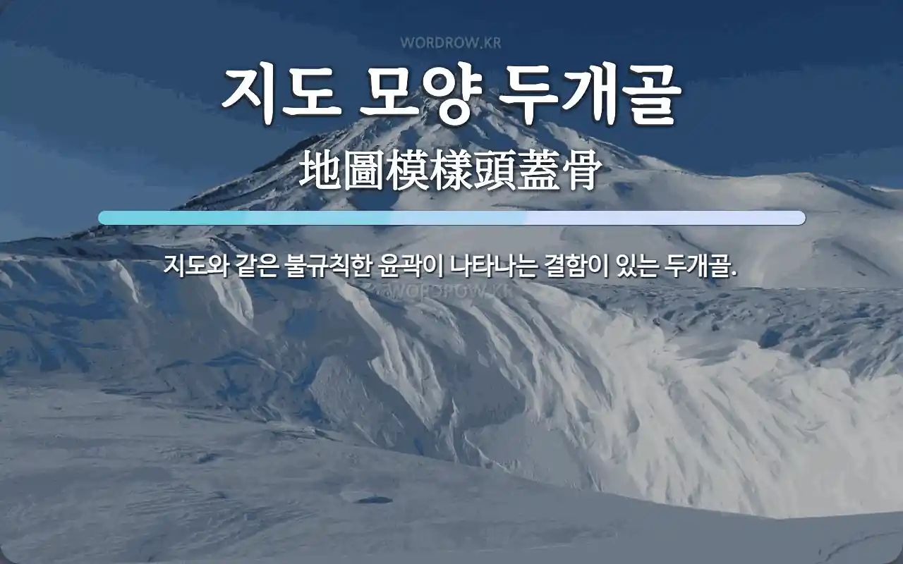 지도 모양 두개골 뜻 지도와 같은 불규칙한 윤곽이 나타나는 결함이 있는 두개골