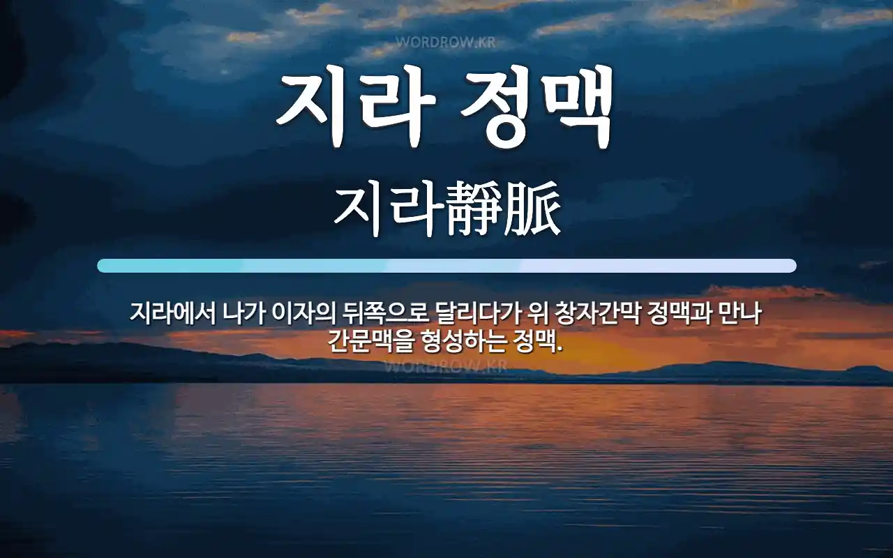 지라 정맥 뜻 지라에서 나가 이자의 뒤쪽으로 달리다가 위 창자간막 정맥과 만나 간문맥을 형성하는 정맥