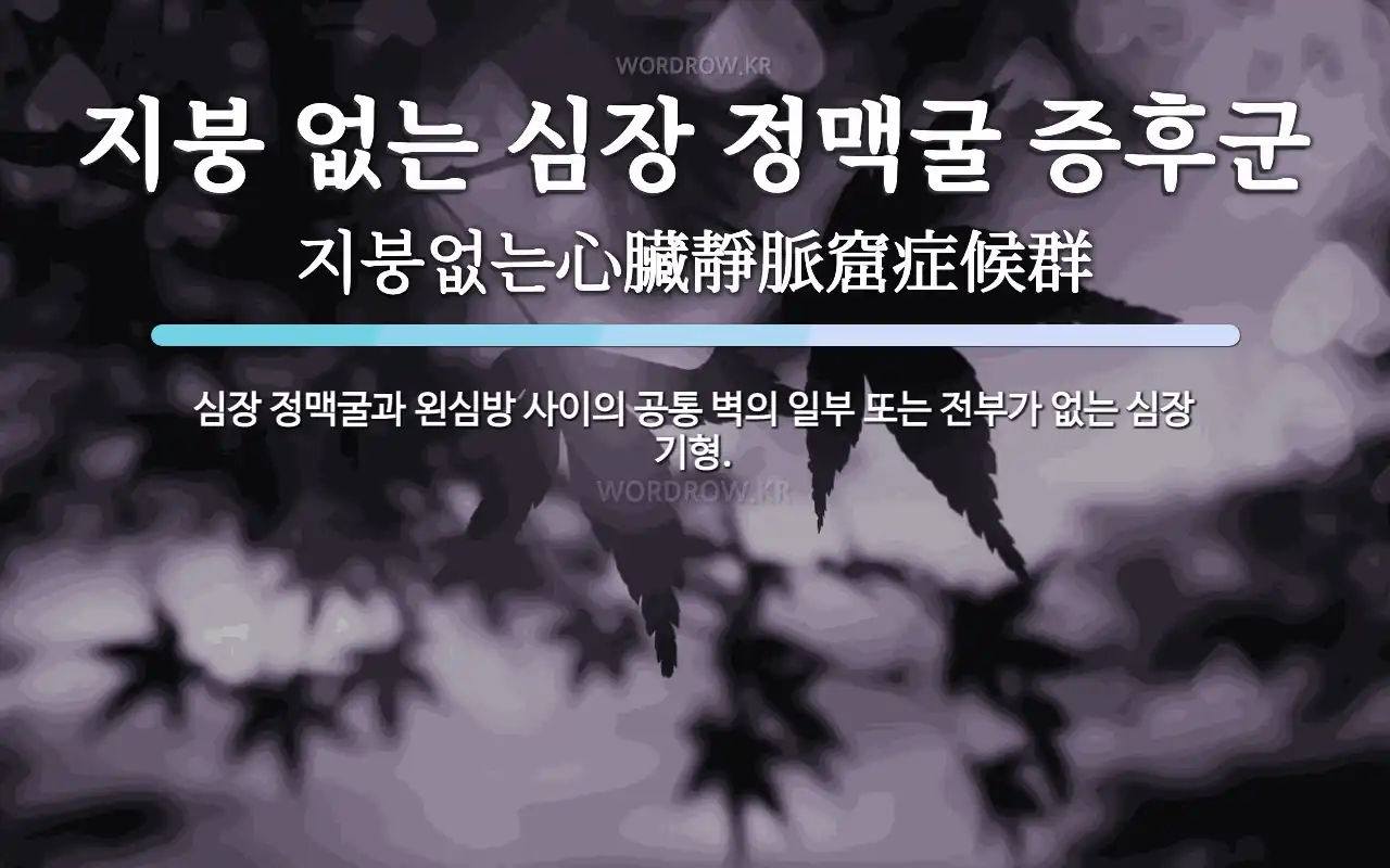 지붕 없는 심장 정맥굴 증후군 뜻 심장 정맥굴과 왼심방 사이의 공통 벽의 일부 또는 전부가 없는 심장 기형