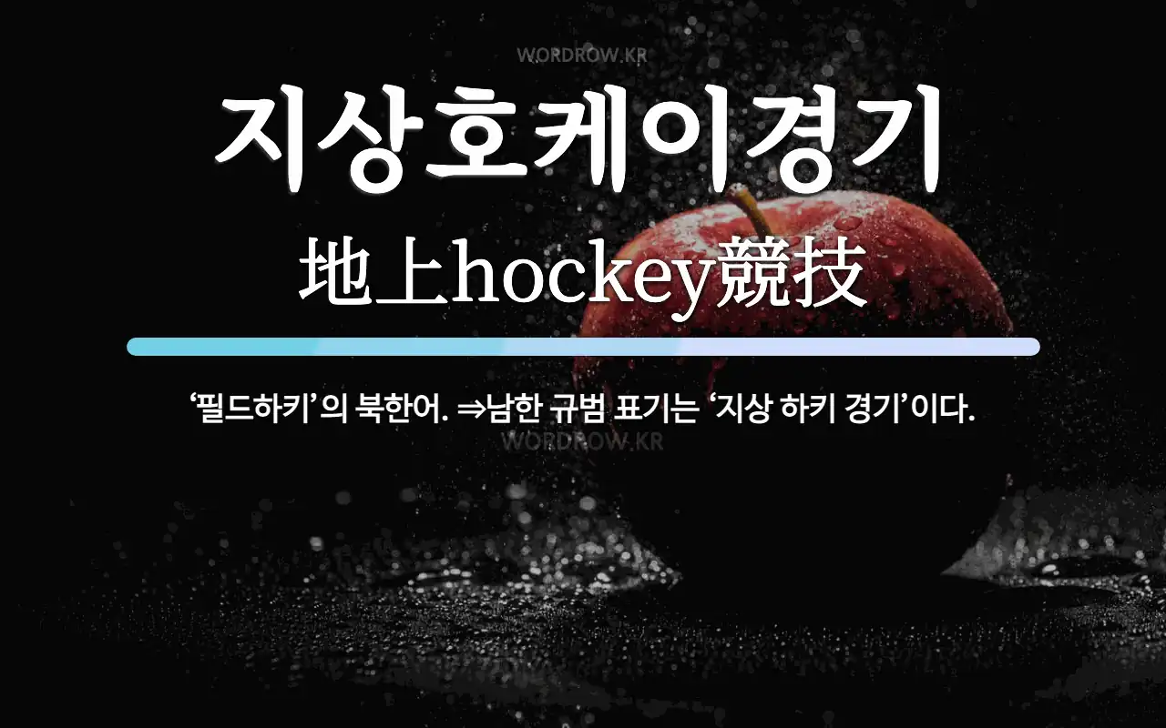 지상호케이경기 뜻 ‘필드하키의 북한어 ⇒남한 규범 표기는 ‘지상 하키 경기이다