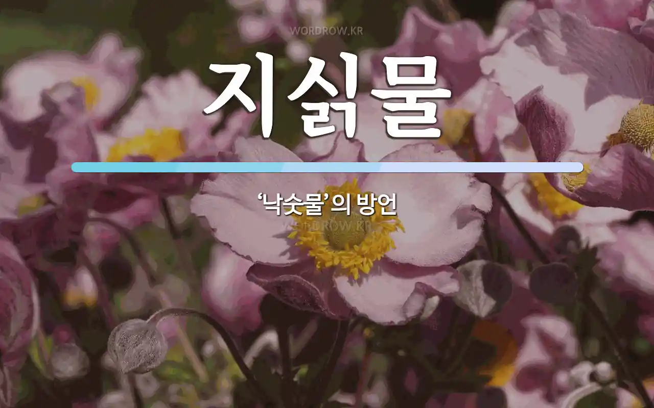 지싥물 뜻 ‘낙숫물의 방언