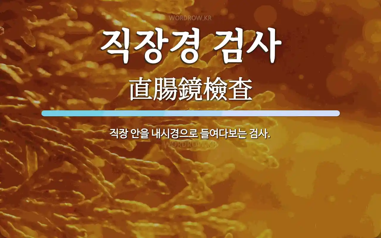 직장경 검사 뜻 직장 안을 내시경으로 들여다보는 검사