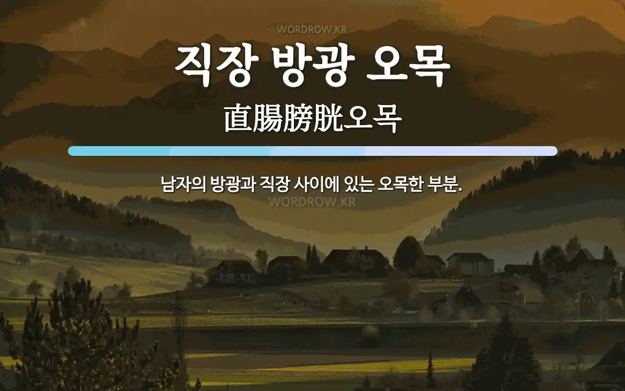 직장 방광 오목 뜻 남자의 방광과 직장 사이에 있는 오목한 부분