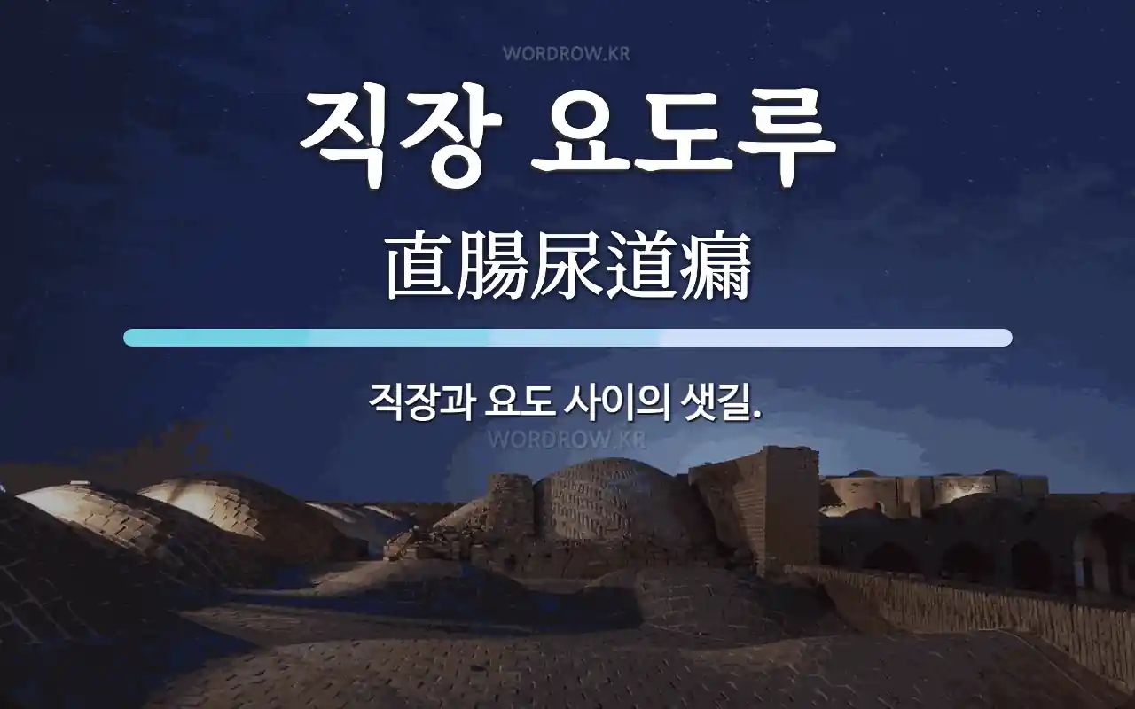 직장 요도루 뜻 직장과 요도 사이의 샛길