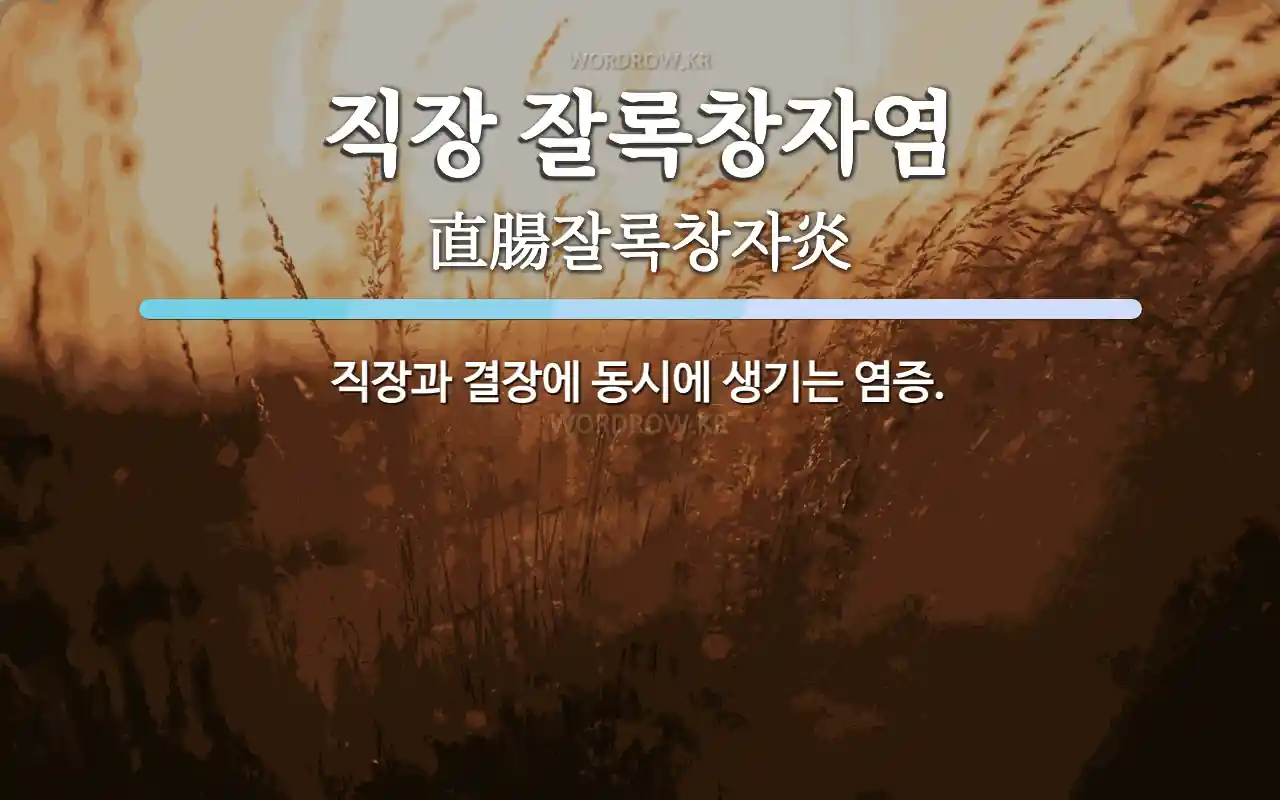 직장 잘록창자염 뜻 직장과 결장에 동시에 생기는 염증