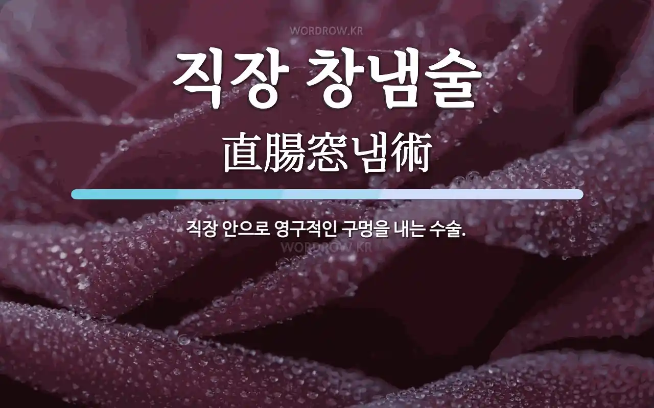 직장 창냄술 뜻 직장 안으로 영구적인 구멍을 내는 수술