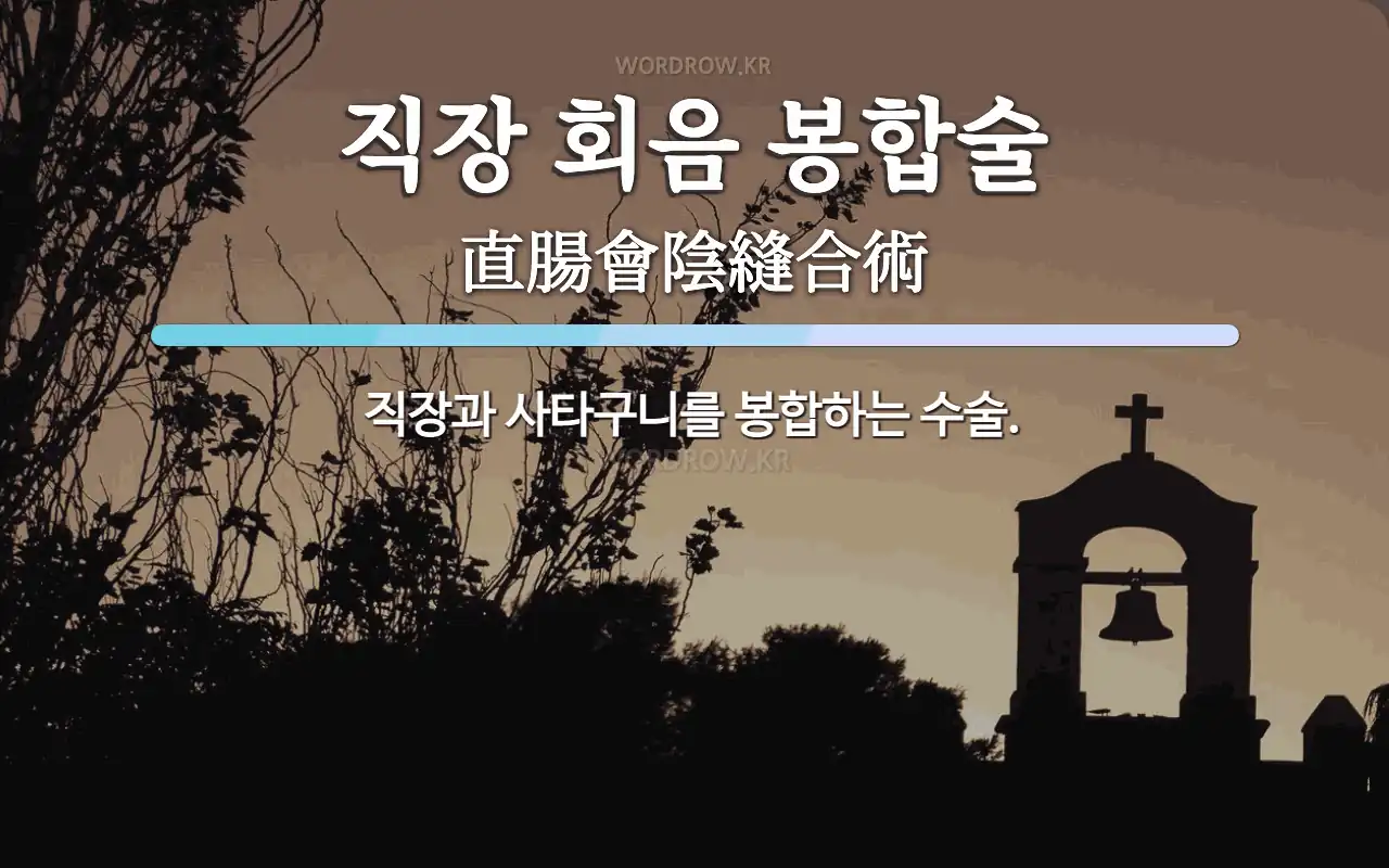 직장 회음 봉합술 뜻 직장과 사타구니를 봉합하는 수술