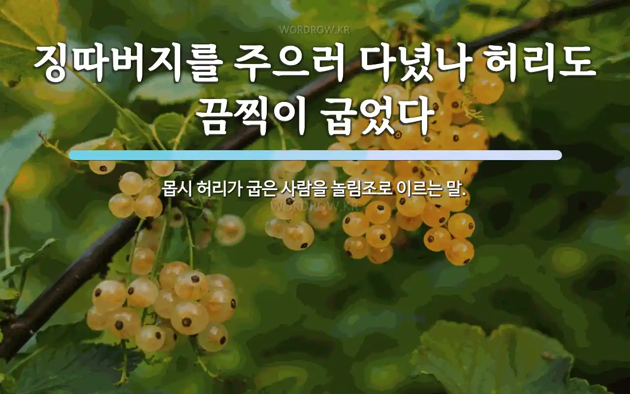 징따버지를 주으러 다녔나 허리도 끔찍이 굽었다 뜻 몹시 허리가 굽은 사람을 놀림조로 이르는 말