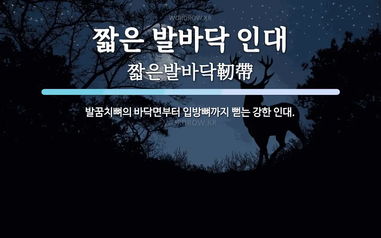 짧은 발바닥 인대 뜻 발꿈치뼈의 바닥면부터 입방뼈까지 뻗는 강한 인대