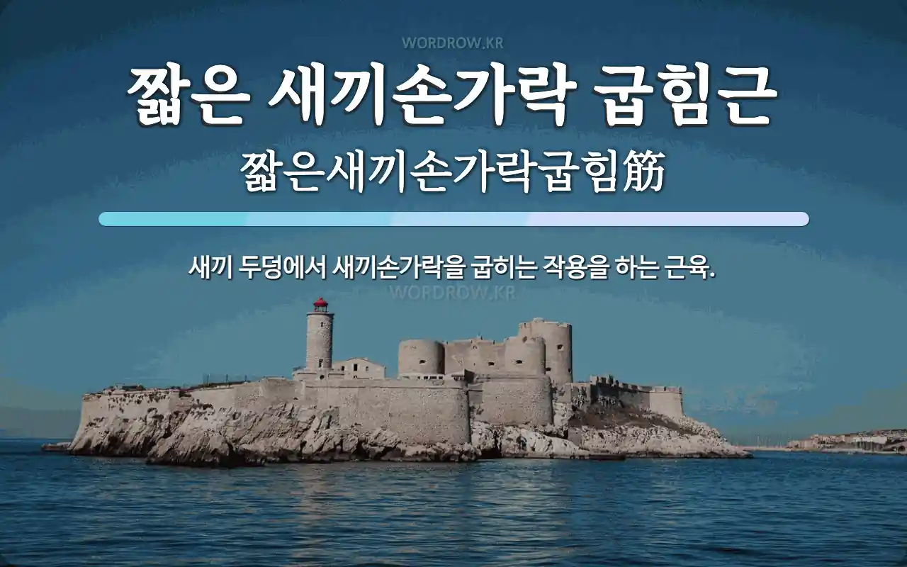 짧은 새끼손가락 굽힘근 뜻 새끼 두덩에서 새끼손가락을 굽히는 작용을 하는 근육