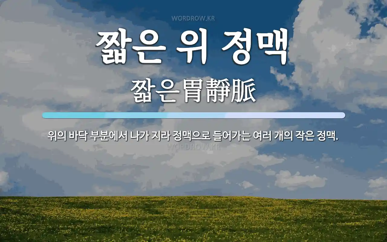 짧은 위 정맥 뜻 위의 바닥 부분에서 나가 지라 정맥으로 들어가는 여러 개의 작은 정맥