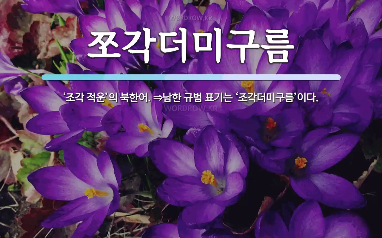 쪼각더미구름 뜻 ‘조각 적운의 북한어 ⇒남한 규범 표기는 ‘조각더미구름이다