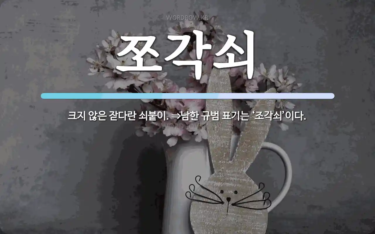 쪼각쇠 뜻 크지 않은 잗다란 쇠붙이 ⇒남한 규범 표기는 ‘조각쇠이다