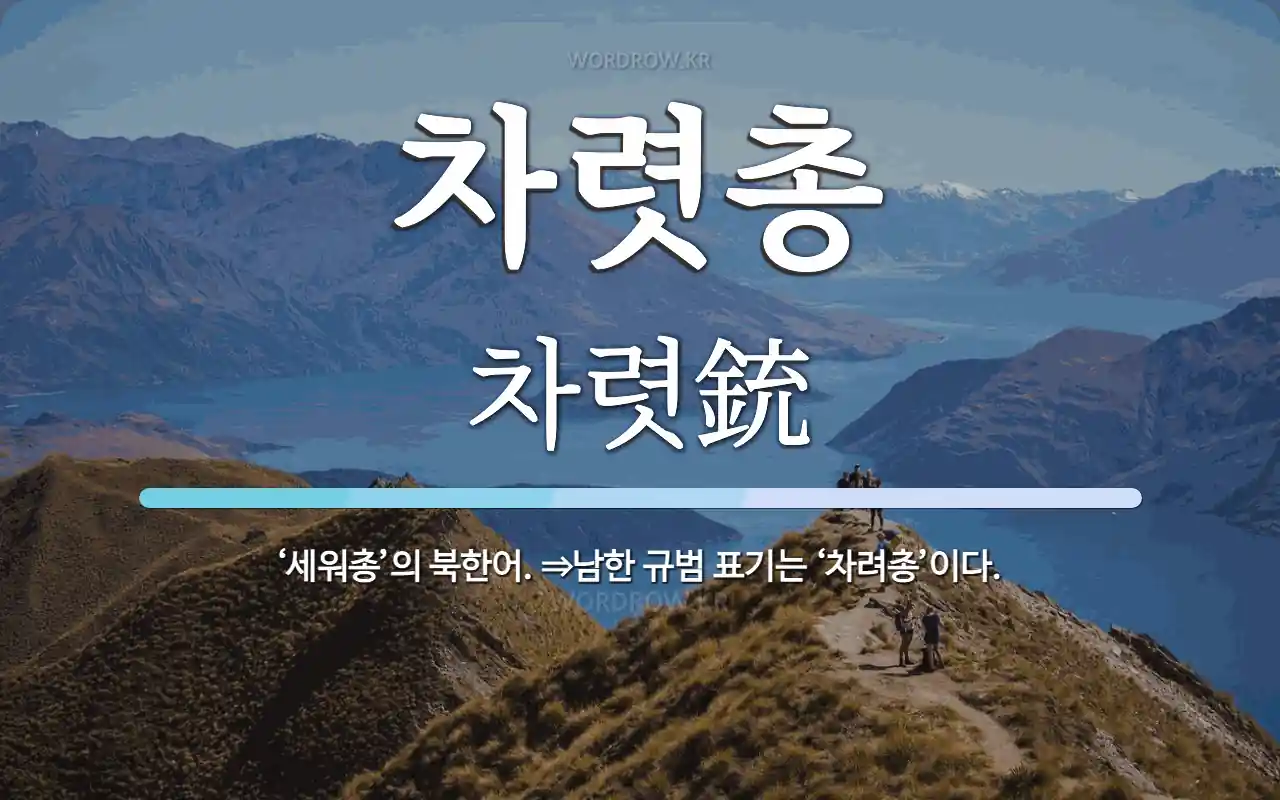차렷총 뜻 ‘세워총의 북한어 ⇒남한 규범 표기는 ‘차려총이다