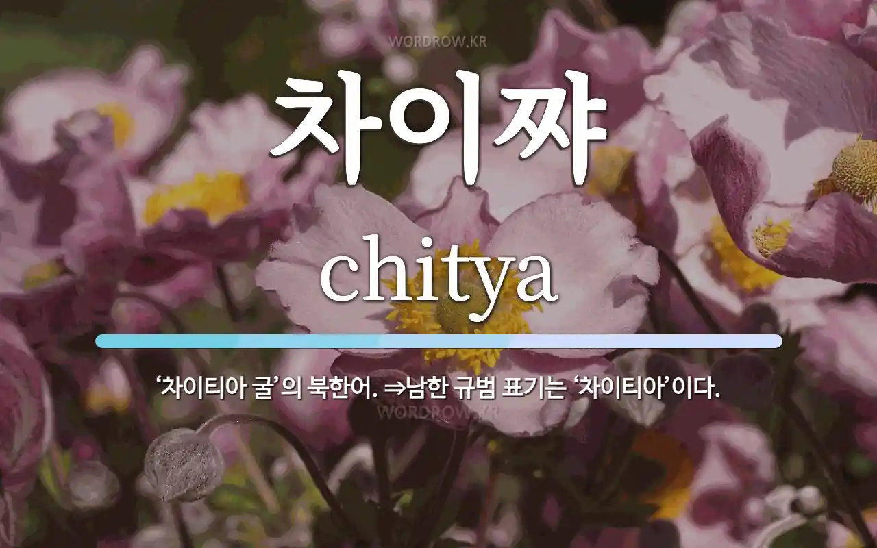 차이쨔 뜻 ‘차이티아 굴의 북한어 ⇒남한 규범 표기는 ‘차이티아이다