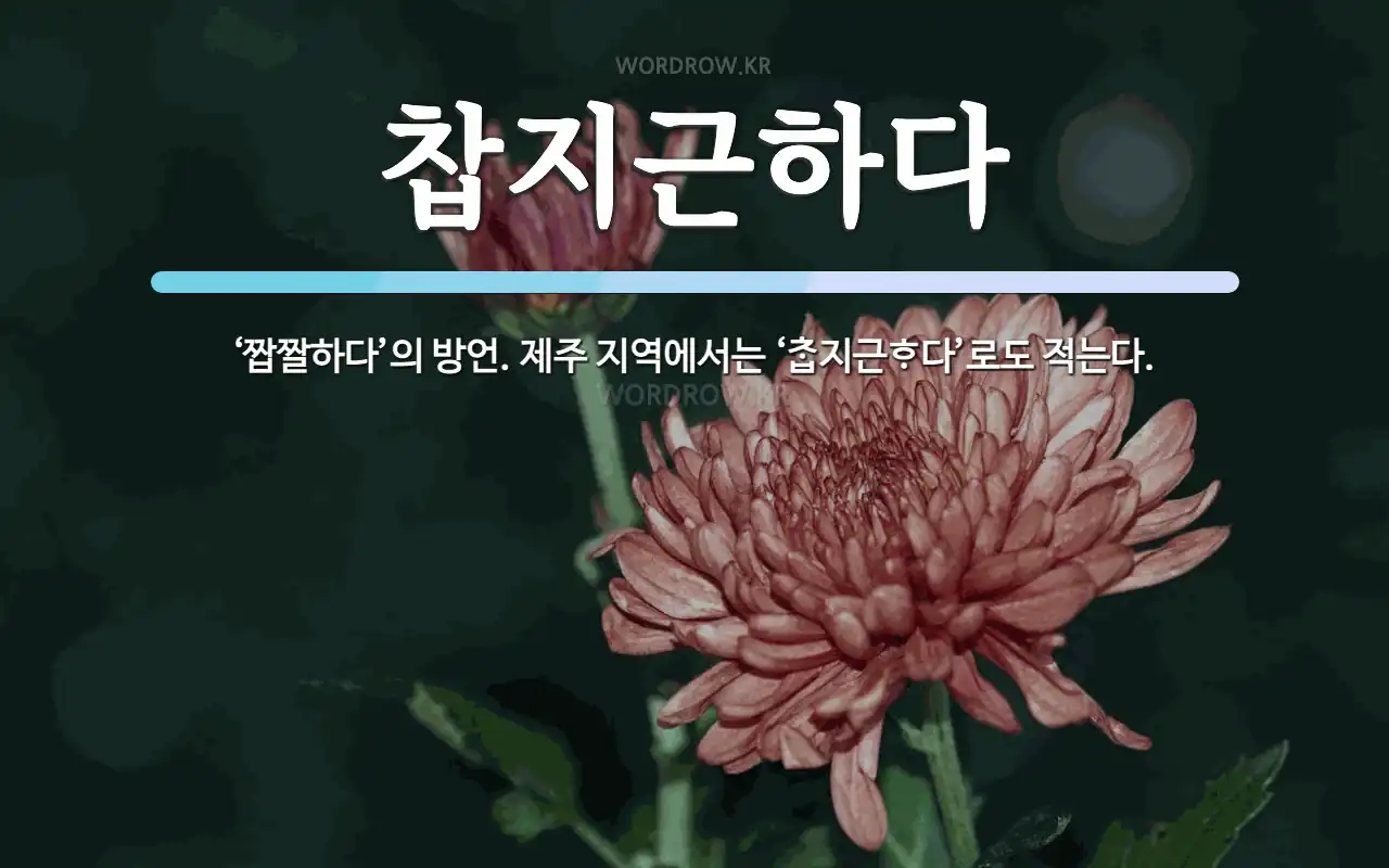 찹지근하다 뜻 ‘짭짤하다의 방언 제주 지역에서는 ‘uf34d지근uf537다로도 적는다
