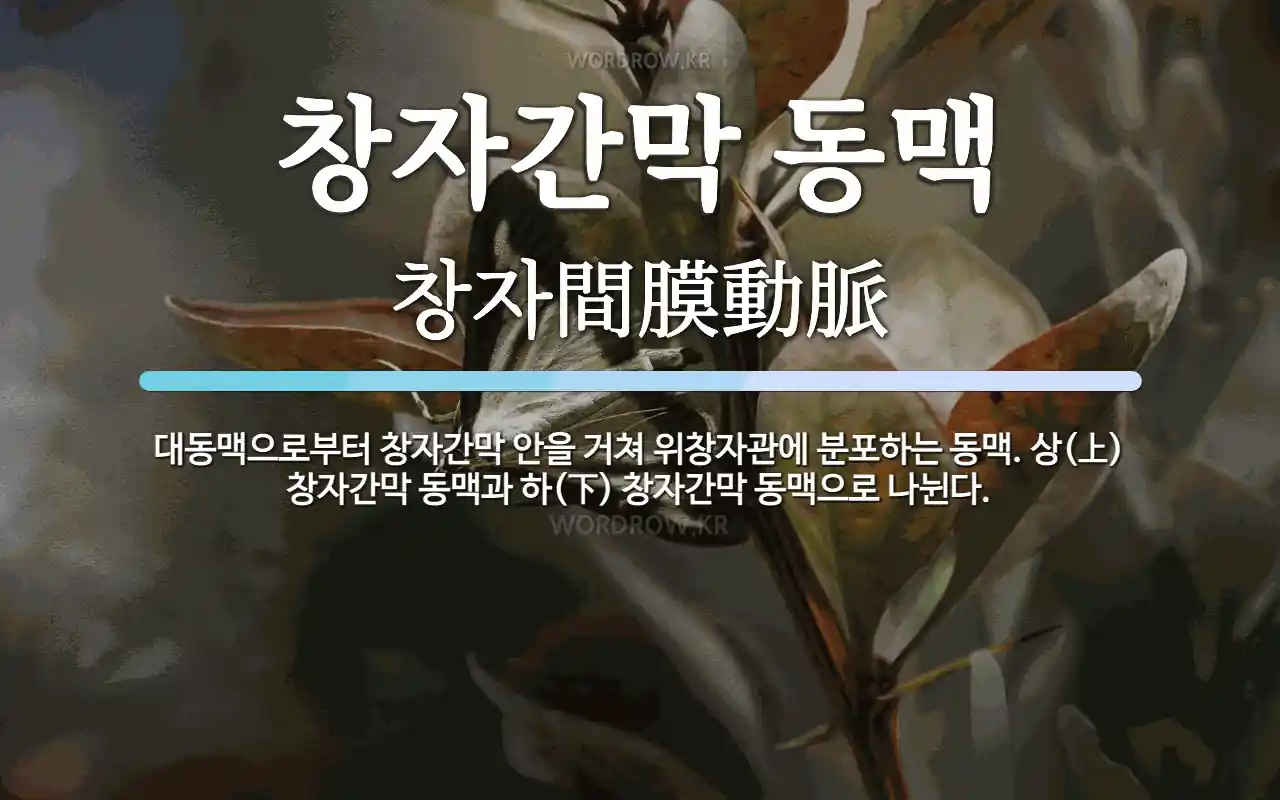 창자간막 동맥 뜻 대동맥으로부터 창자간막 안을 거쳐 위창자관에 분포하는 동맥 상上 창자간막 동맥과 하