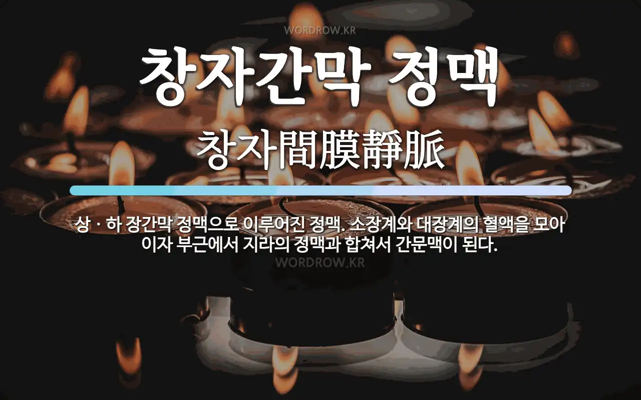 창자간막 정맥 뜻 상ㆍ하 장간막 정맥으로 이루어진 정맥 소장계와 대장계의 혈액을 모아 이자 부근에서 지라의