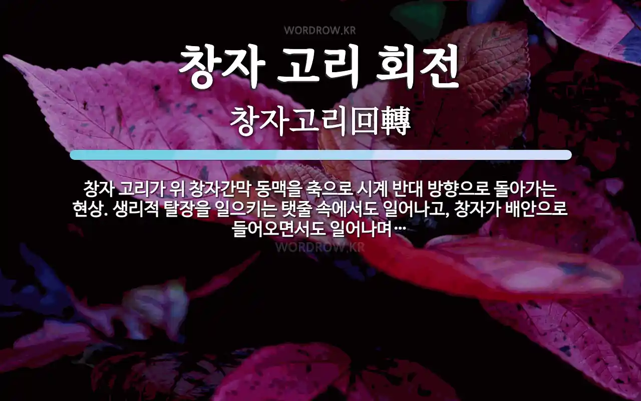 창자 고리 회전 뜻 창자 고리가 위 창자간막 동맥을 축으로 시계 반대 방향으로 돌아가는 현상 생리적 탈장을