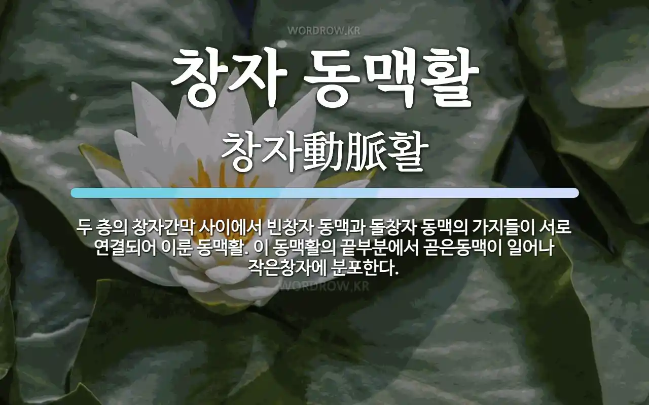 창자 동맥활 뜻 두 층의 창자간막 사이에서 빈창자 동맥과 돌창자 동맥의 가지들이 서로 연결되어 이룬 동맥활