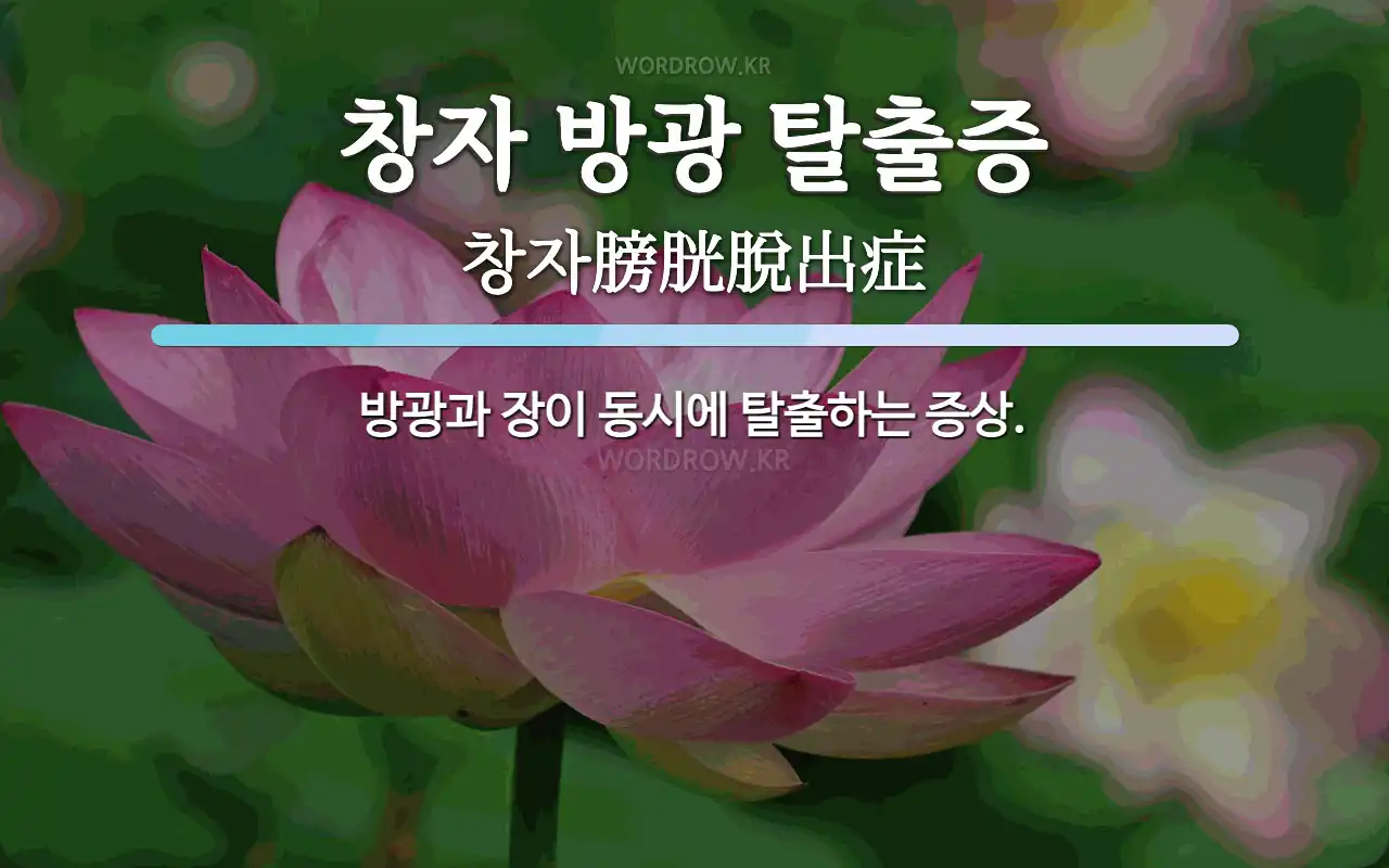창자 방광 탈출증 뜻 방광과 장이 동시에 탈출하는 증상