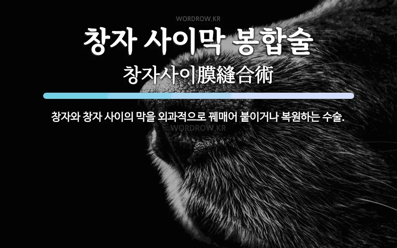 창자 사이막 봉합술 뜻 창자와 창자 사이의 막을 외과적으로 꿰매어 붙이거나 복원하는 수술