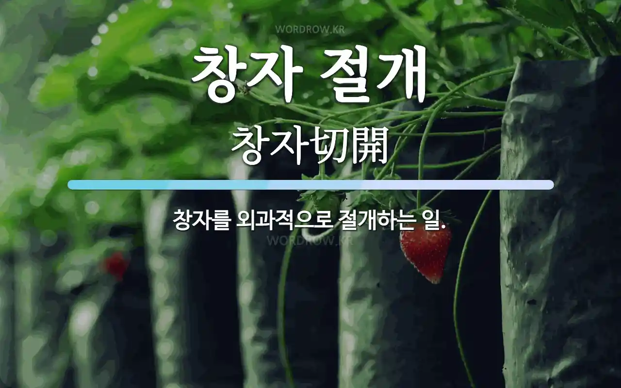 창자 절개 뜻 창자를 외과적으로 절개하는 일