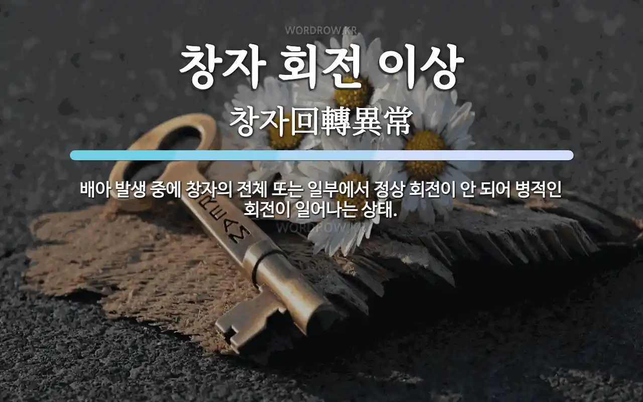 창자 회전 이상 뜻 배아 발생 중에 창자의 전체 또는 일부에서 정상 회전이 안 되어 병적인 회전이 일어나는 상