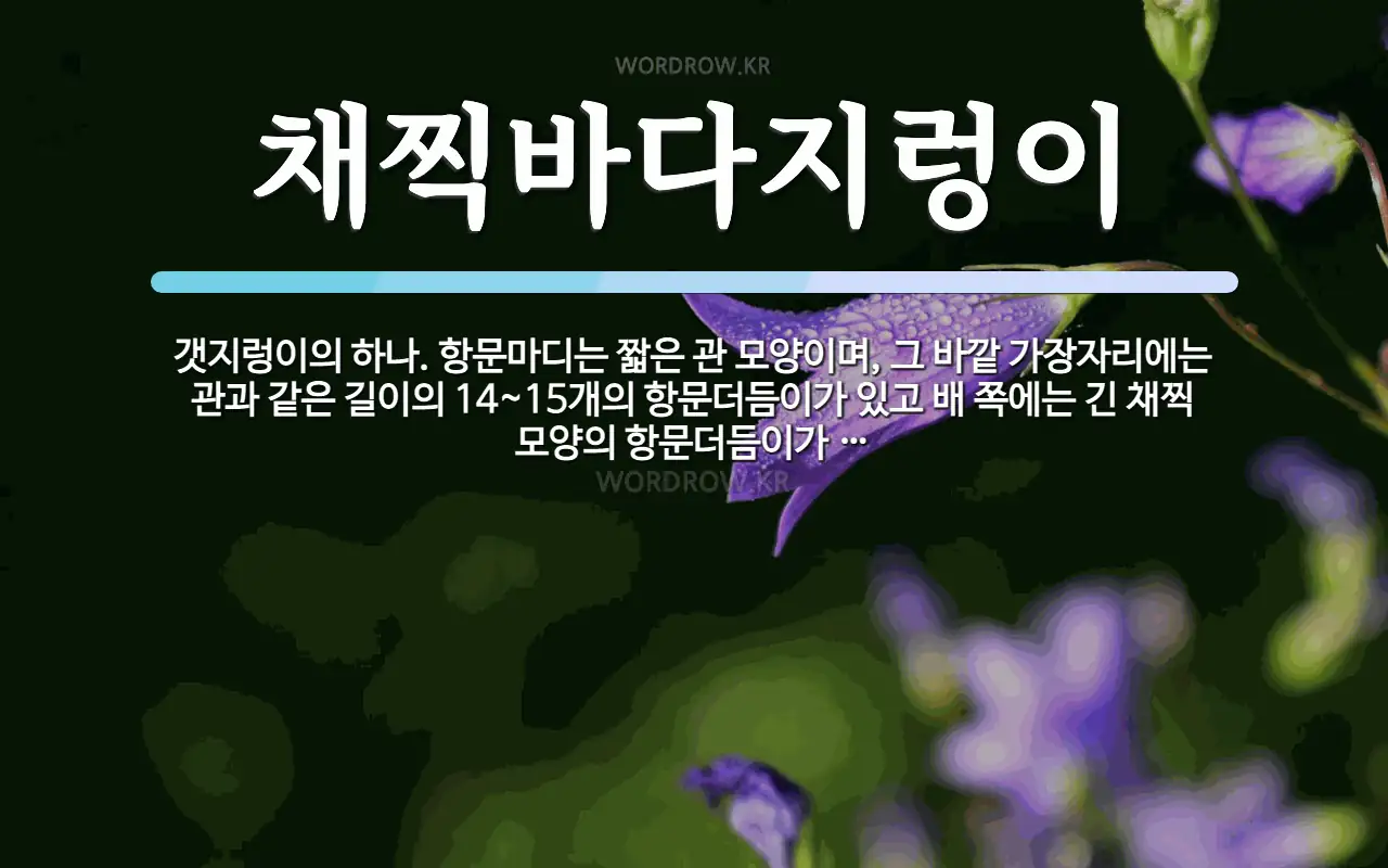 채찍바다지렁이 뜻 갯지렁이의 하나 항문마디는 짧은 관 모양이며 그 바깥 가장자리에는 관과 같은 길이의 1