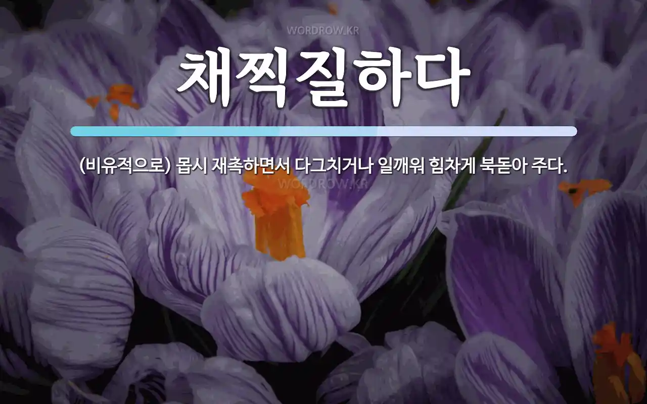 채찍질하다 뜻 비유적으로 몹시 재촉하면서 다그치거나 일깨워 힘차게 북돋아 주다