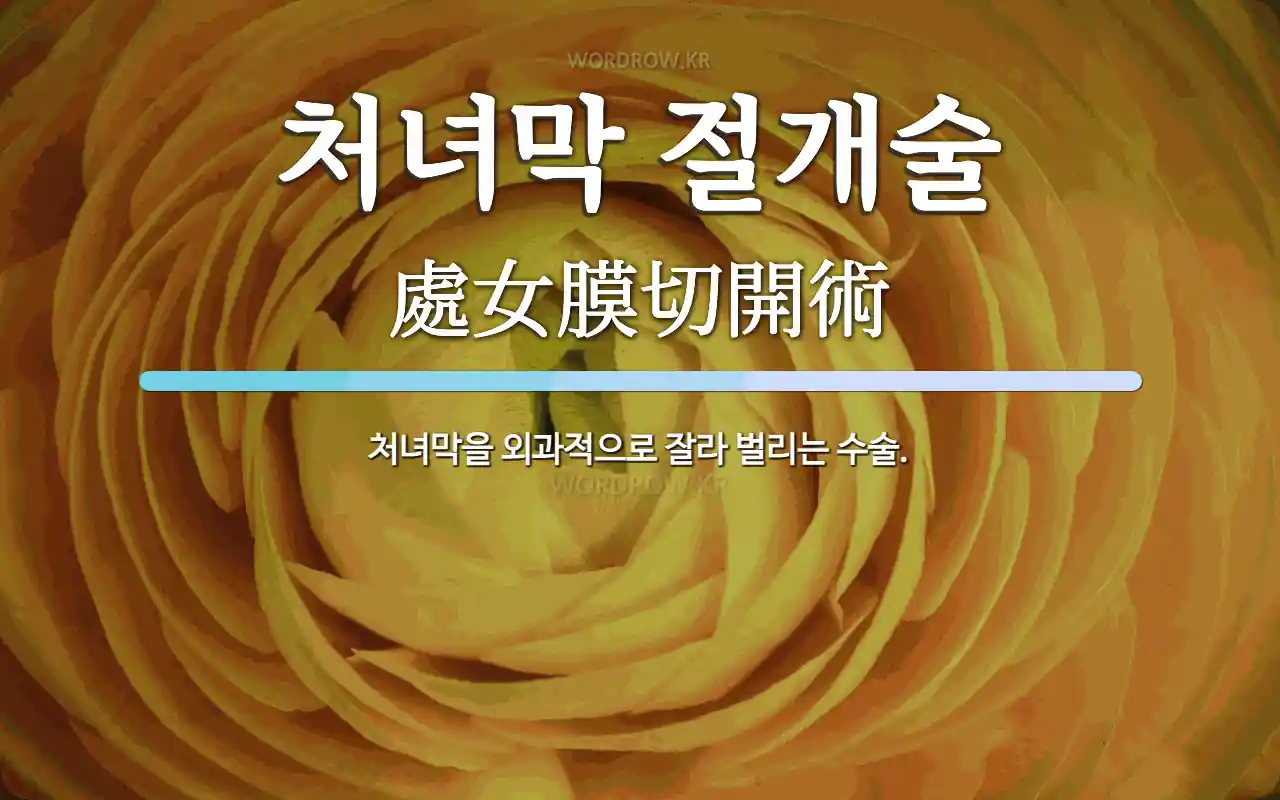처녀막 절개술 뜻 처녀막을 외과적으로 잘라 벌리는 수술