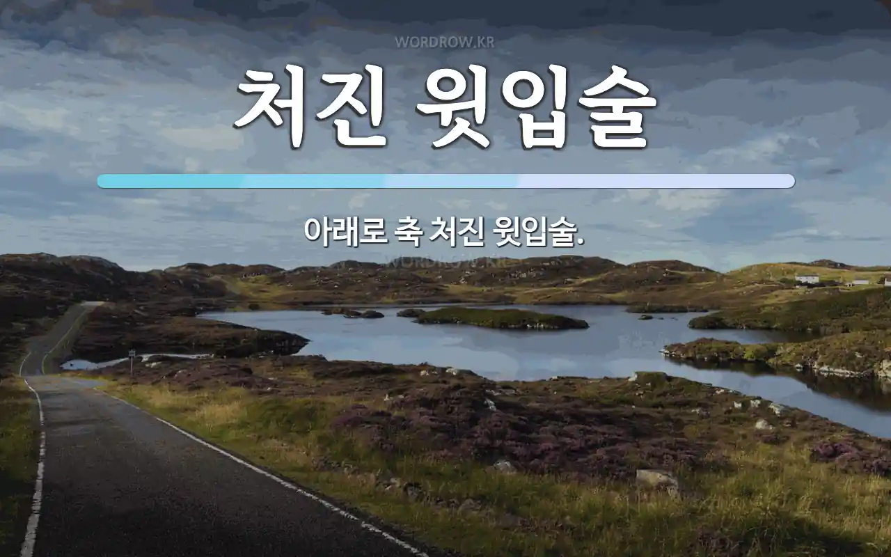 처진 윗입술 뜻 아래로 축 처진 윗입술