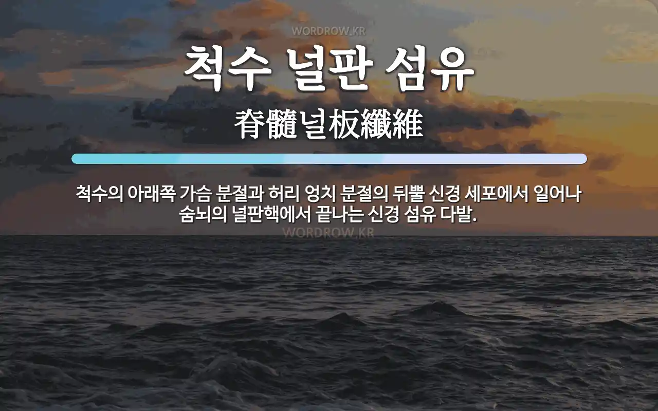 척수 널판 섬유 뜻 척수의 아래쪽 가슴 분절과 허리 엉치 분절의 뒤뿔 신경 세포에서 일어나 숨뇌의 널판핵에서