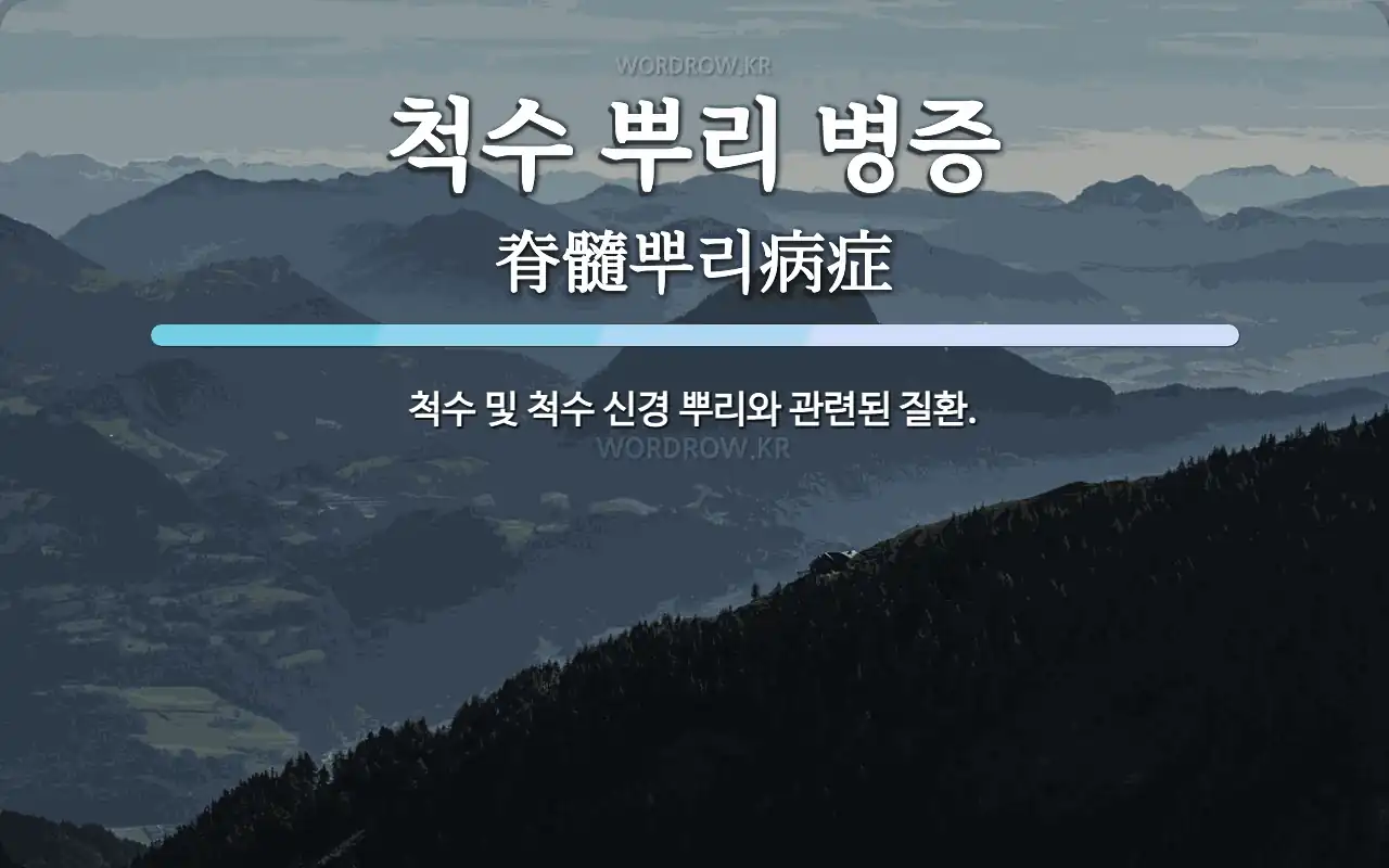 척수 뿌리 병증 뜻 척수 및 척수 신경 뿌리와 관련된 질환
