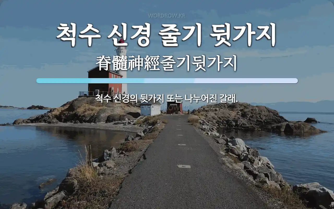척수 신경 줄기 뒷가지 뜻 척수 신경의 뒷가지 또는 나누어진 갈래