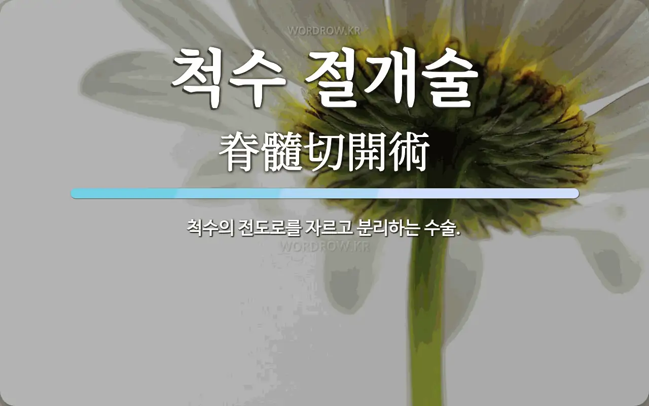 척수 절개술 뜻 척수의 전도로를 자르고 분리하는 수술