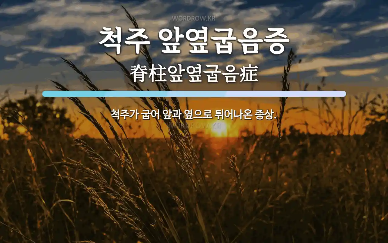 척주 앞옆굽음증 뜻 척주가 굽어 앞과 옆으로 튀어나온 증상