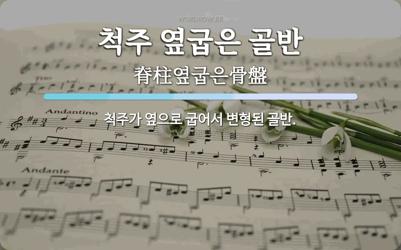 척주 옆굽은 골반 뜻 척주가 옆으로 굽어서 변형된 골반