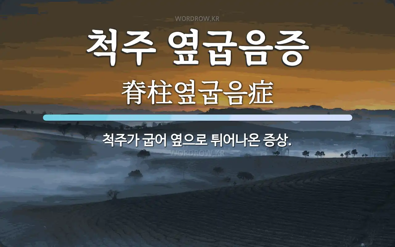 척주 옆굽음증 뜻 척주가 굽어 옆으로 튀어나온 증상