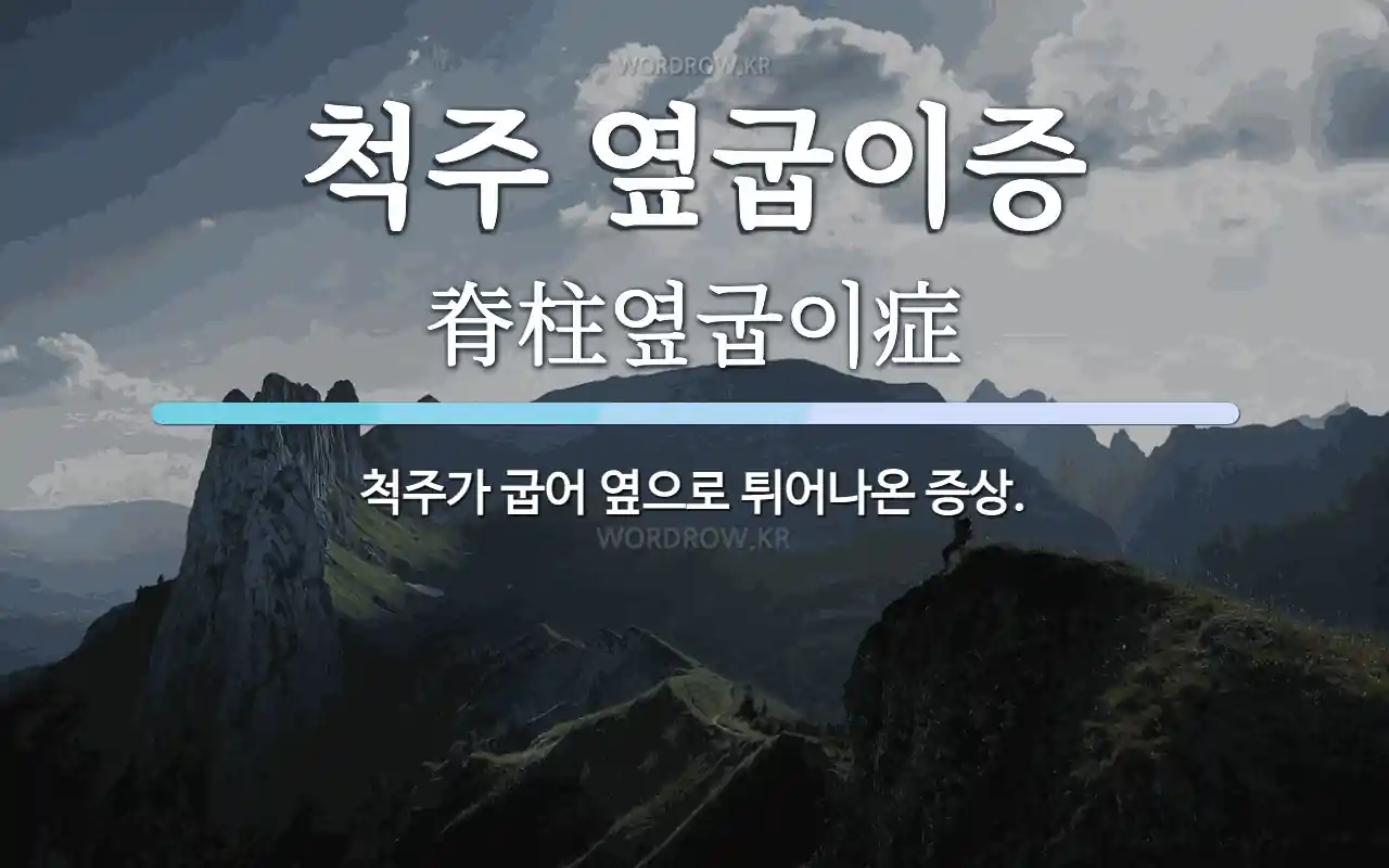 척주 옆굽이증 뜻 척주가 굽어 옆으로 튀어나온 증상
