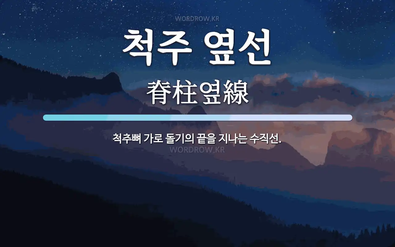척주 옆선 뜻 척추뼈 가로 돌기의 끝을 지나는 수직선