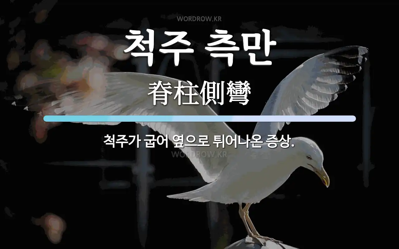 척주 측만 뜻 척주가 굽어 옆으로 튀어나온 증상